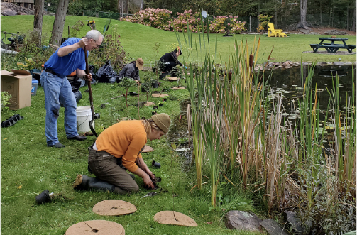 Natural Edge - Kawartha Lake Stewards Association